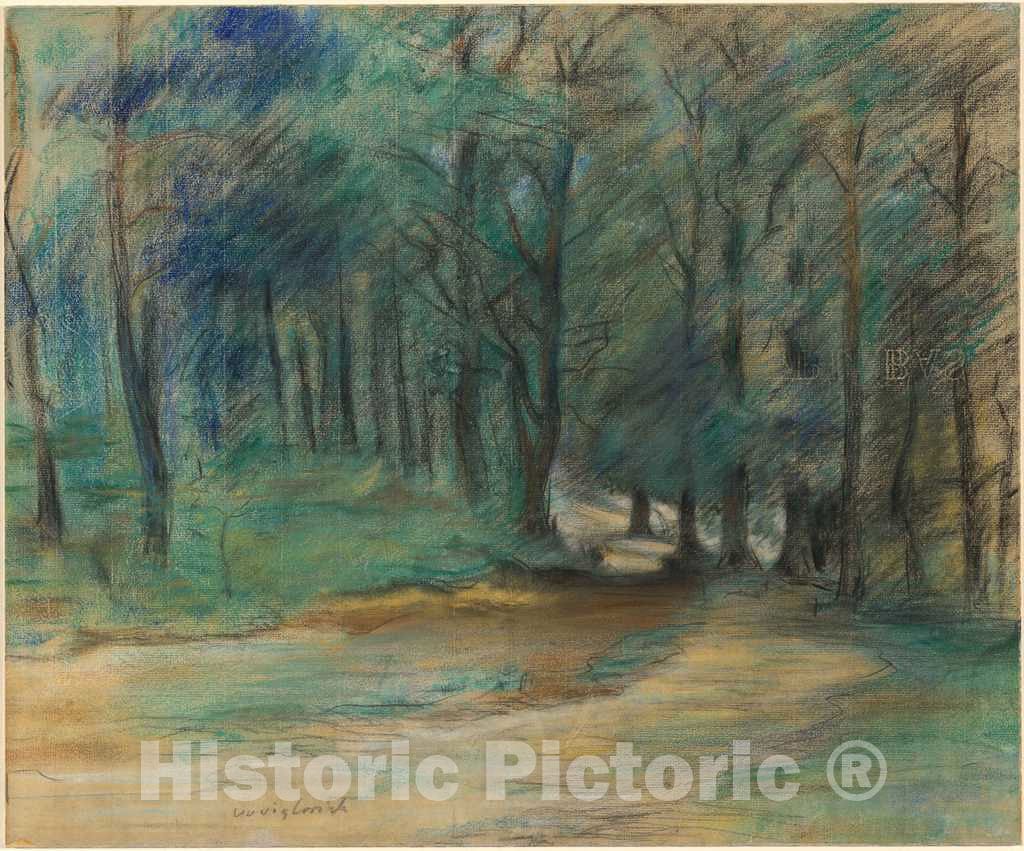 Art Print : Lovis Corinth, Woodland Path, 1890s - Vintage Wall Art ...