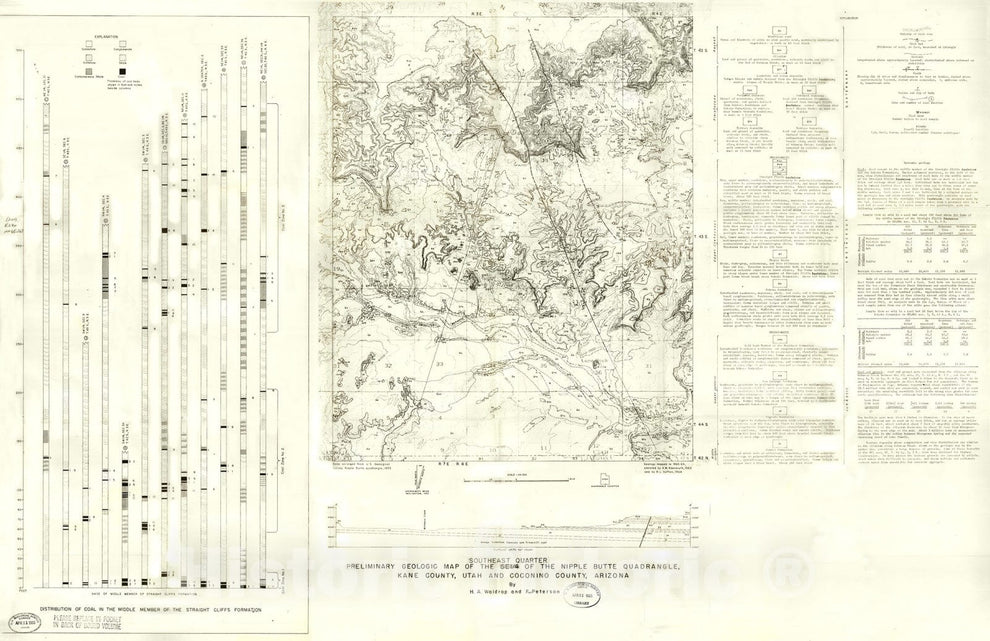 Map : Preliminary geologic map of the southeast quarter of the Nipple ...